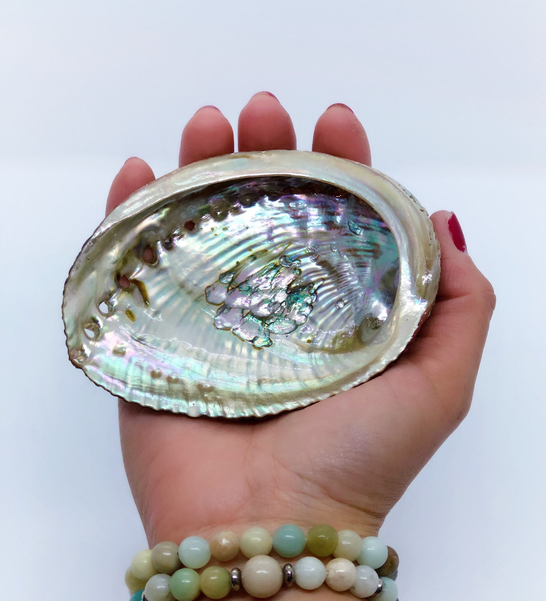 Abalone Shell - Perfect For Smudge Sticks - Alter Tool - High Quality ...