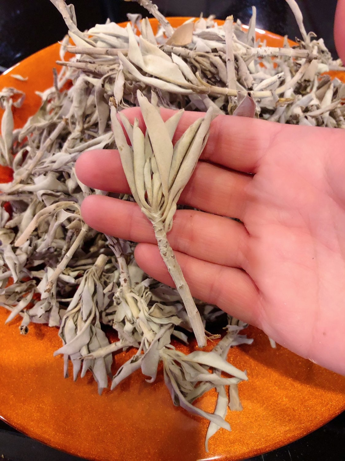 Loose White Sage Clusters and Leaves - Organic White Sage - 2oz Bag ...
