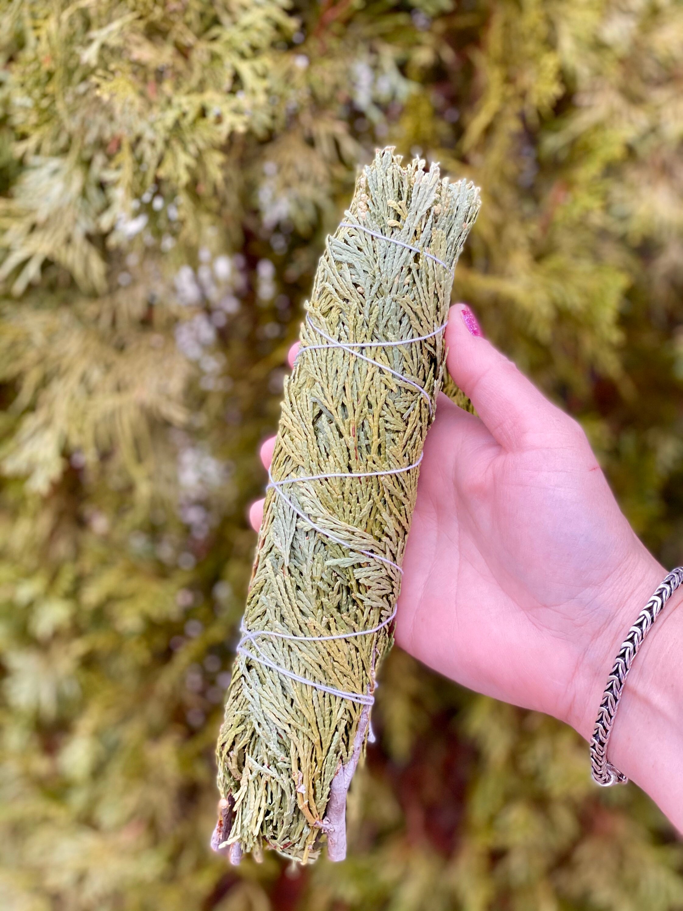 Large Cedar Smudge Sticks - Sold Individually - Organic - Native ...
