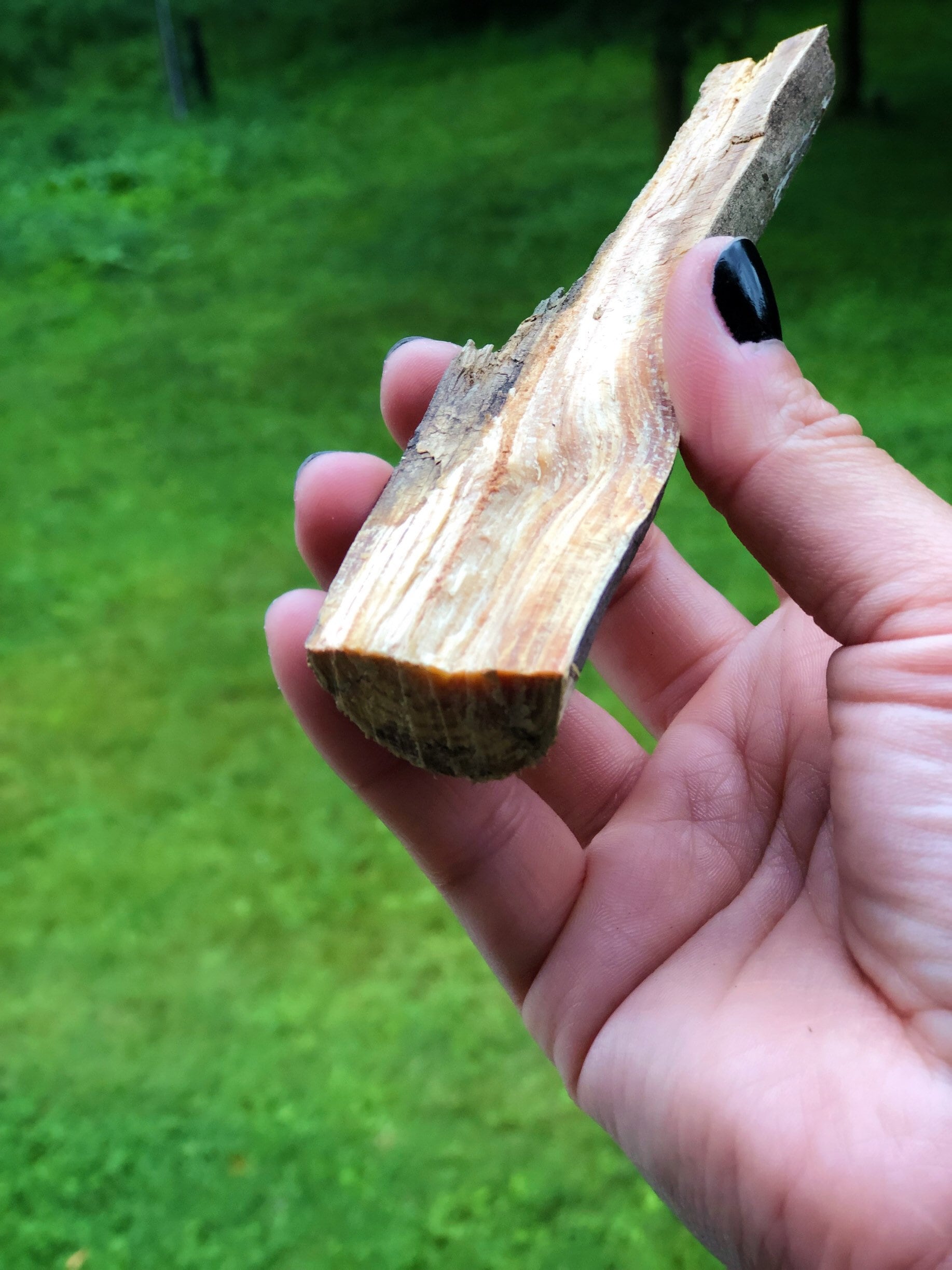 Fatwood Sticks - Sold Individually - Pine Fatwood - Pine Smudge ...
