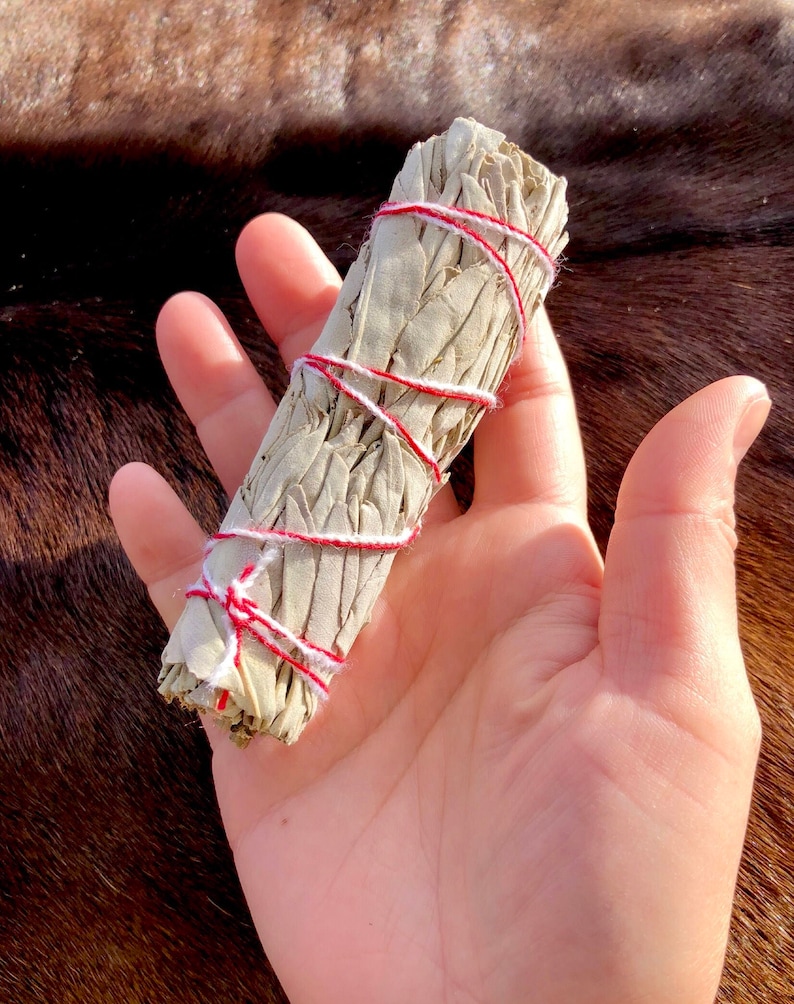 Organic White Sage Bundle Sold Individually Mini Size - Etsy