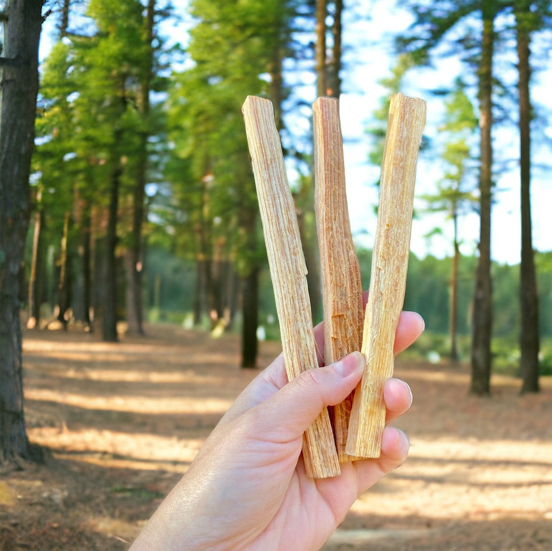 Fatwood Sticks - Sold Individually - Pine Fatwood - Pine Smudge ...