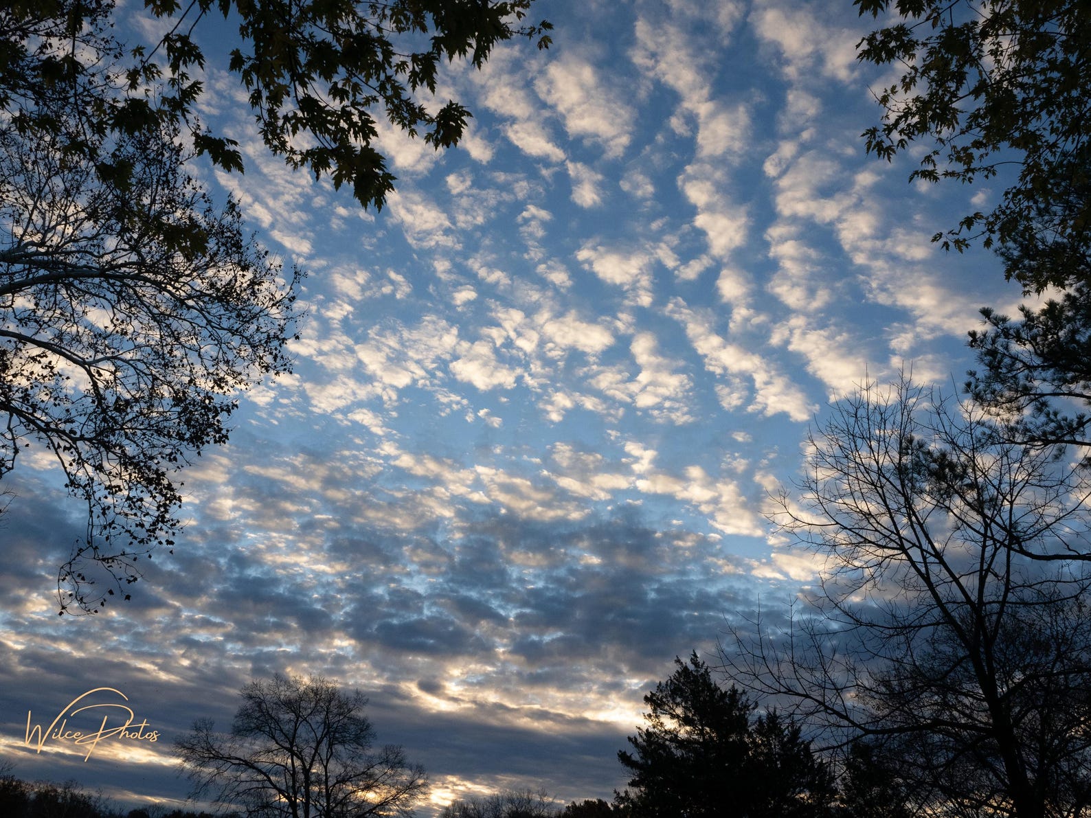 Missouri Sky, Dawn Clouds Over Kansas City, MO; Keywords: Color, Trees ...