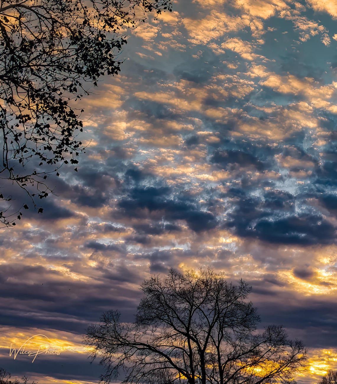 Missouri Sky, Dawn Clouds Over Kansas City, MO; Keywords: Color, Trees ...