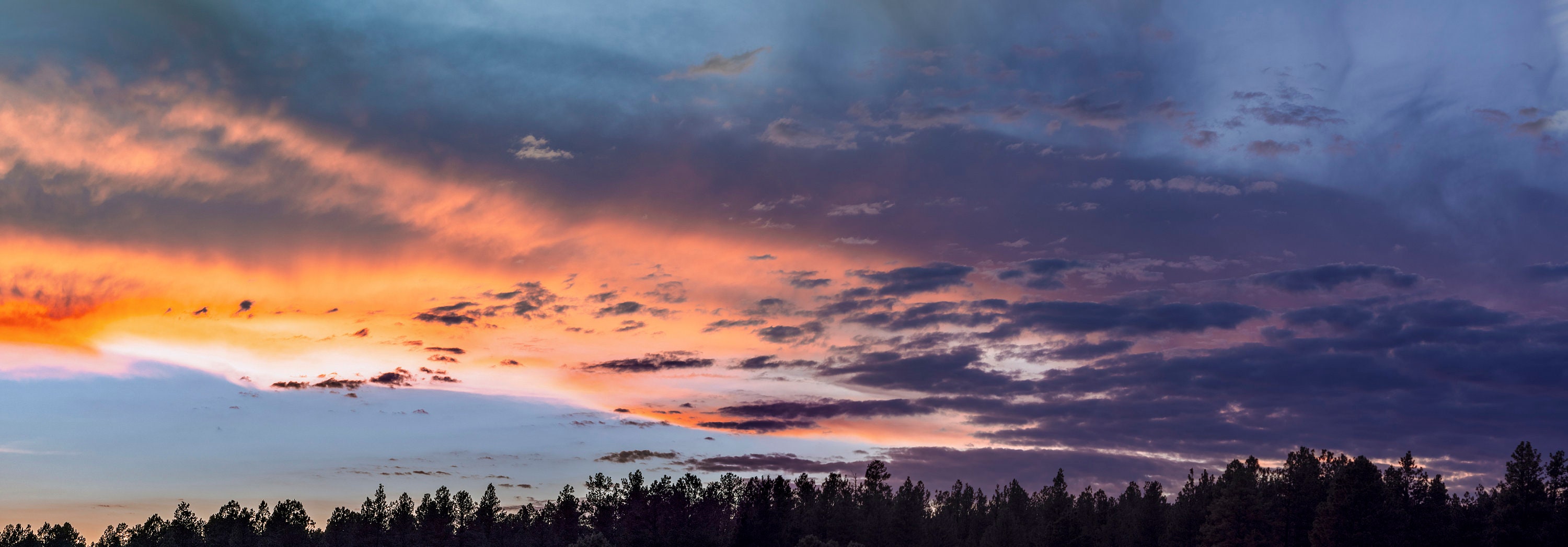Salmon Clouds at Sunset - Wallpaper - Etsy