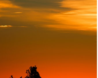 SVG WOLVERINES Red Dawn Digital Download Cutting File - Etsy