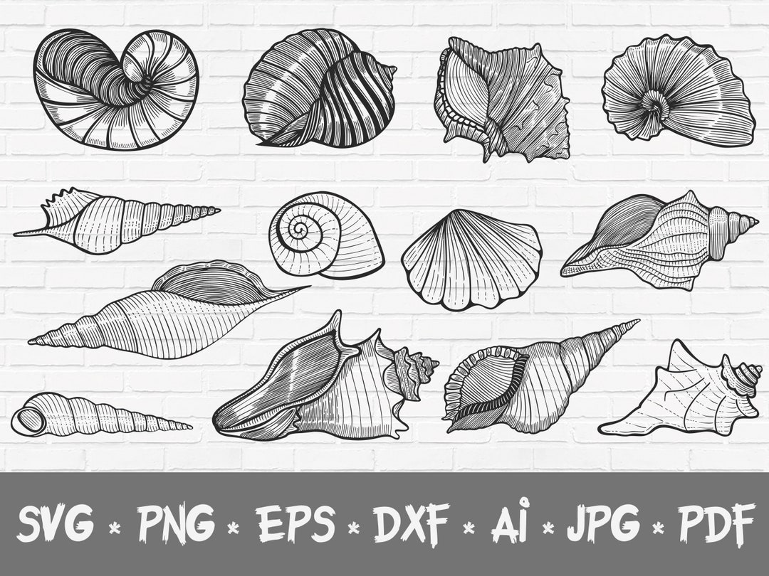 Seashells Zentangle Svg Bundle. Sea Shell Mandala DXF Cricut Silhouette ...