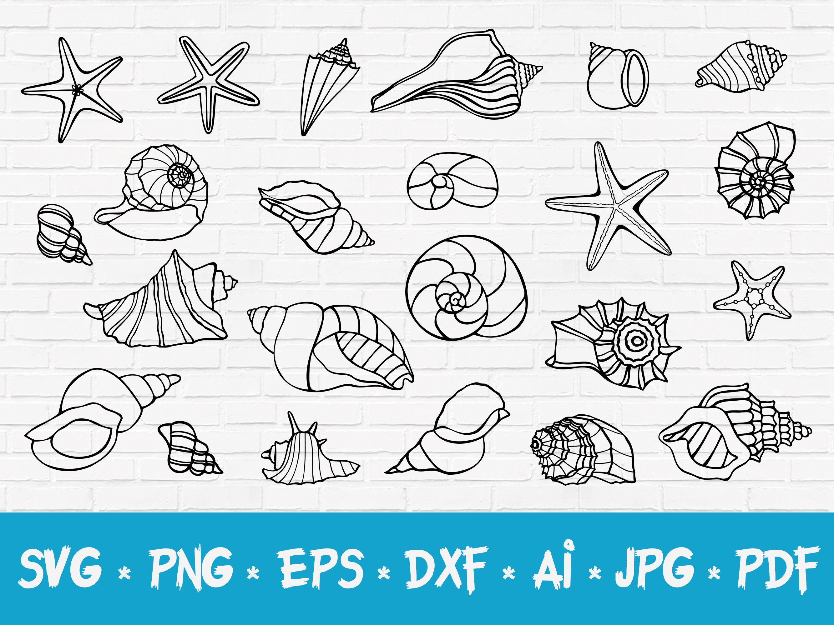 Seashells Zentangle Svg Bundle. Sea Shell Mandala DXF Cricut Silhouette ...