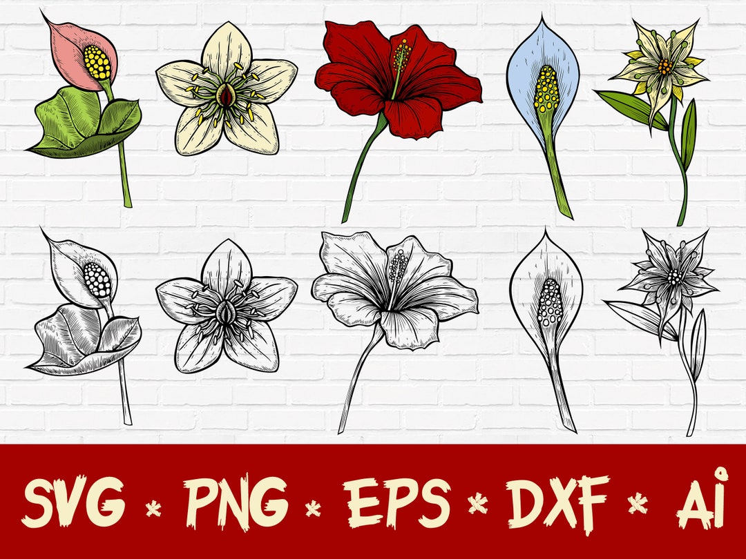 Flowers Svg Bundle | Flowers Svg Png Hand Drawn | Floral Svg ...