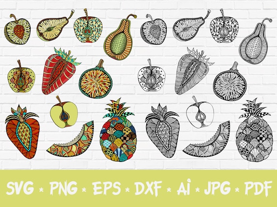Fruit and Berry Bundle Zentangle Svg Mandala Apple Clipart - Etsy