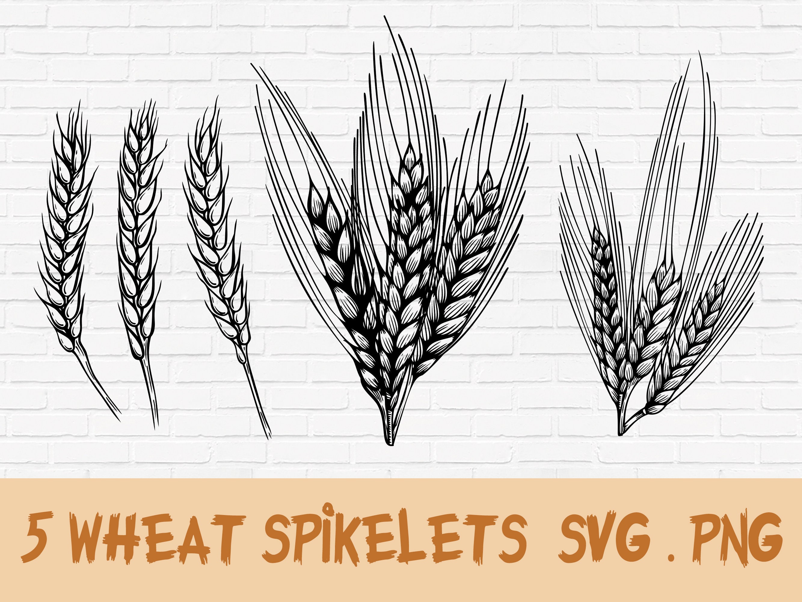 Wheat Ear Bundle Svg Dxf Png JPG, Hand Drawn Engraving Clipart, Vintage ...