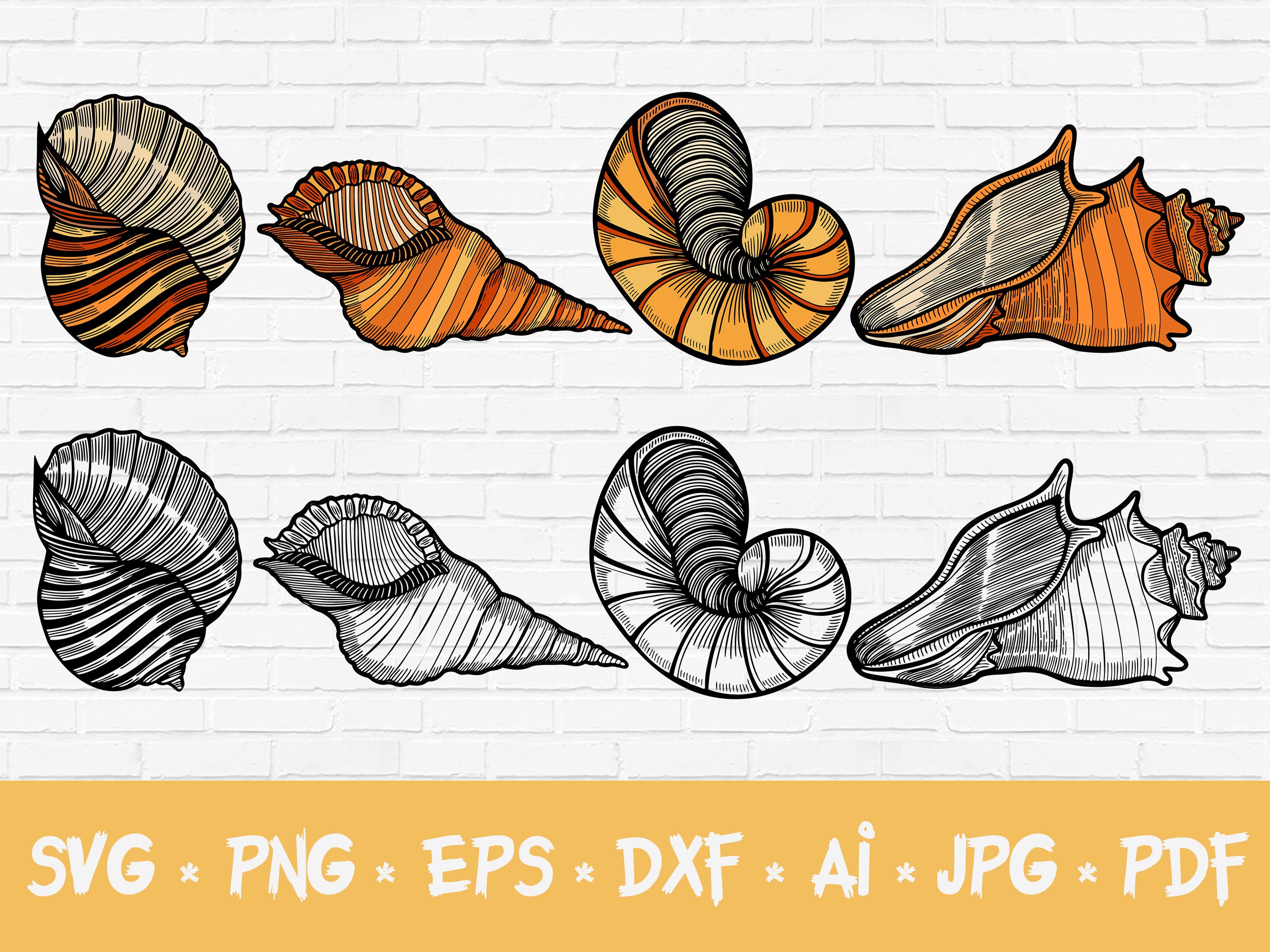 Seashells Zentangle Svg Bundle. Sea Shell Mandala DXF Cricut Silhouette ...
