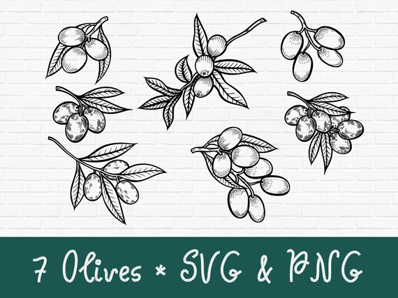 Olives svg bundle Branch with olive svg png hand drawn | Etsy
