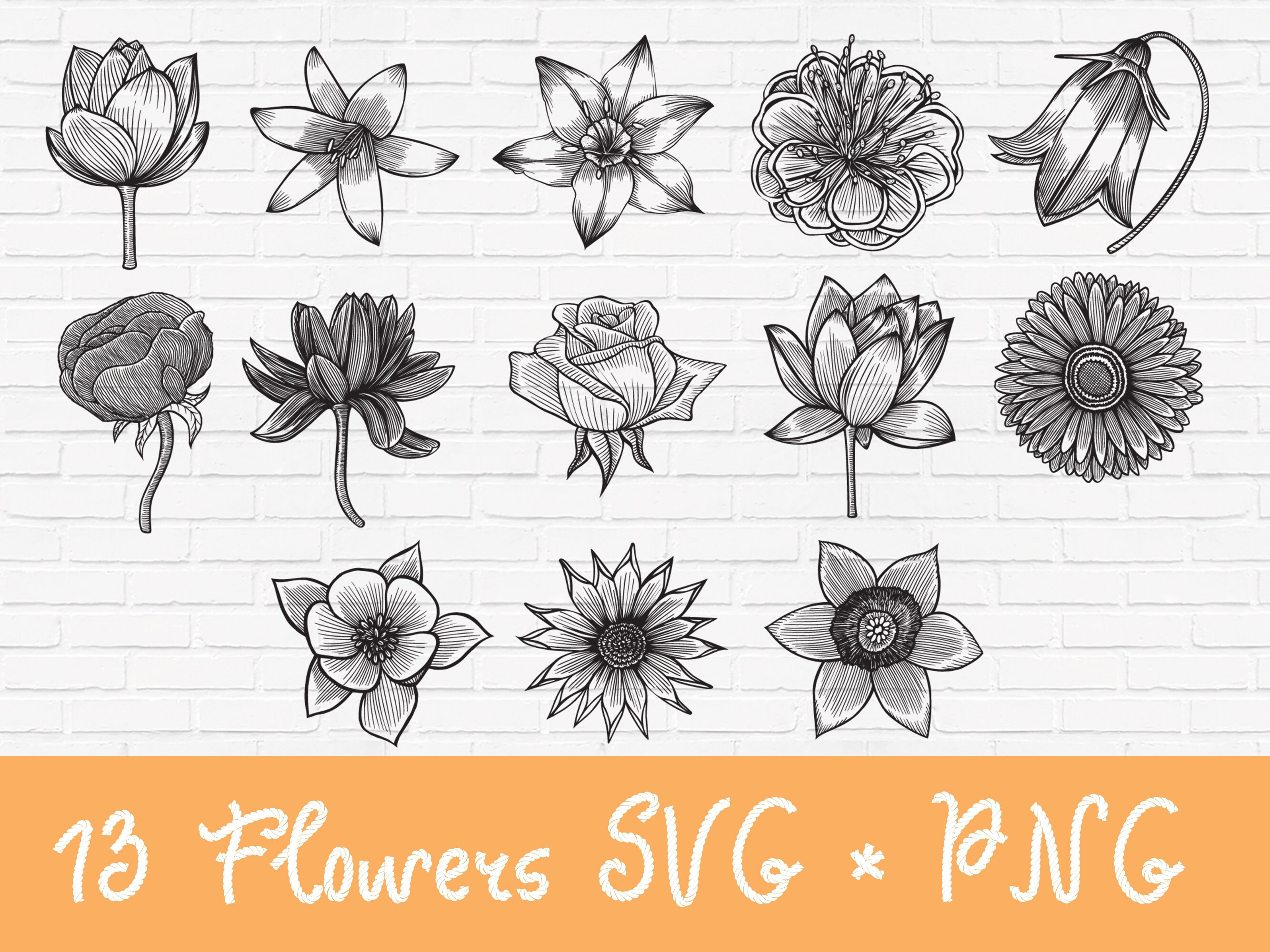 Bouquet Svg Bundle Flowers Svg Png Hand Drawn Png Floral - Etsy