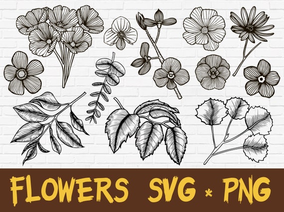 Flowers Svg Bundle Flowers Svg Png Hand Drawn Floral Svg | Etsy