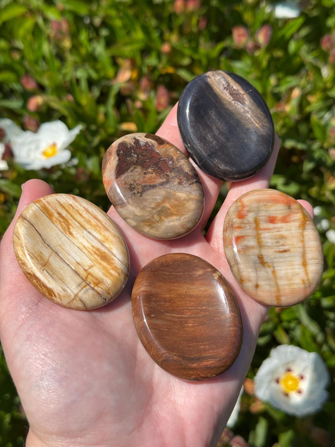 Petrified Wood Worry Stone: Grounding Pocket Crystal - Etsy