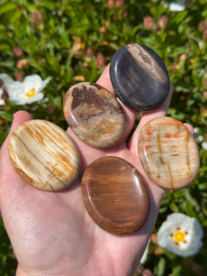 Petrified Wood Worry Stone: Grounding Pocket Crystal - Etsy