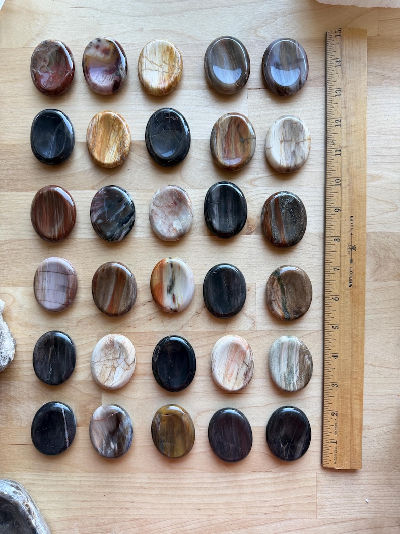 Petrified Wood Worry Stone: Grounding Pocket Crystal - Etsy
