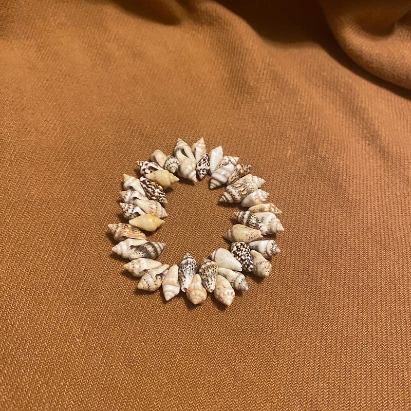 Seashell Bracelet - Etsy