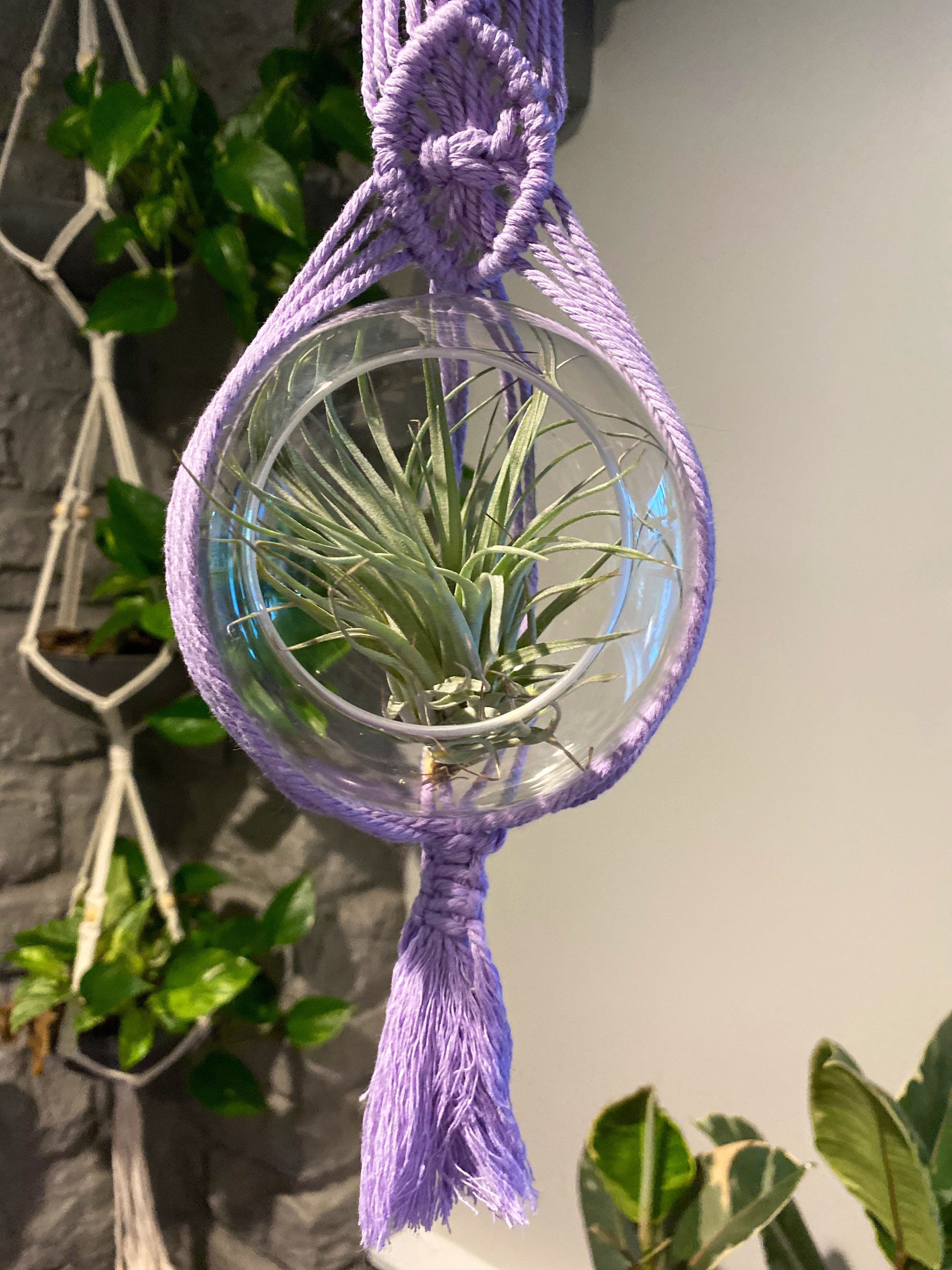Globe Macrame Plant Hanger, Great for Air Plants! - Etsy