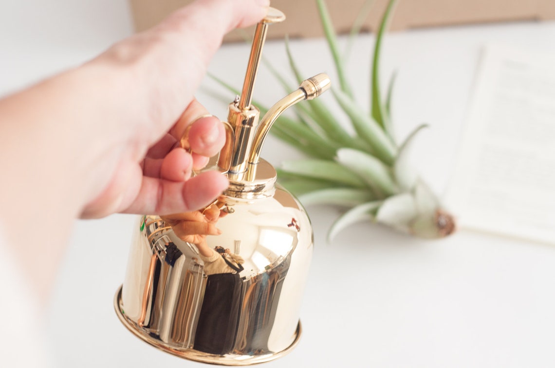 Silver Plant Spray Water Spray Water Mister Air Plants - Etsy