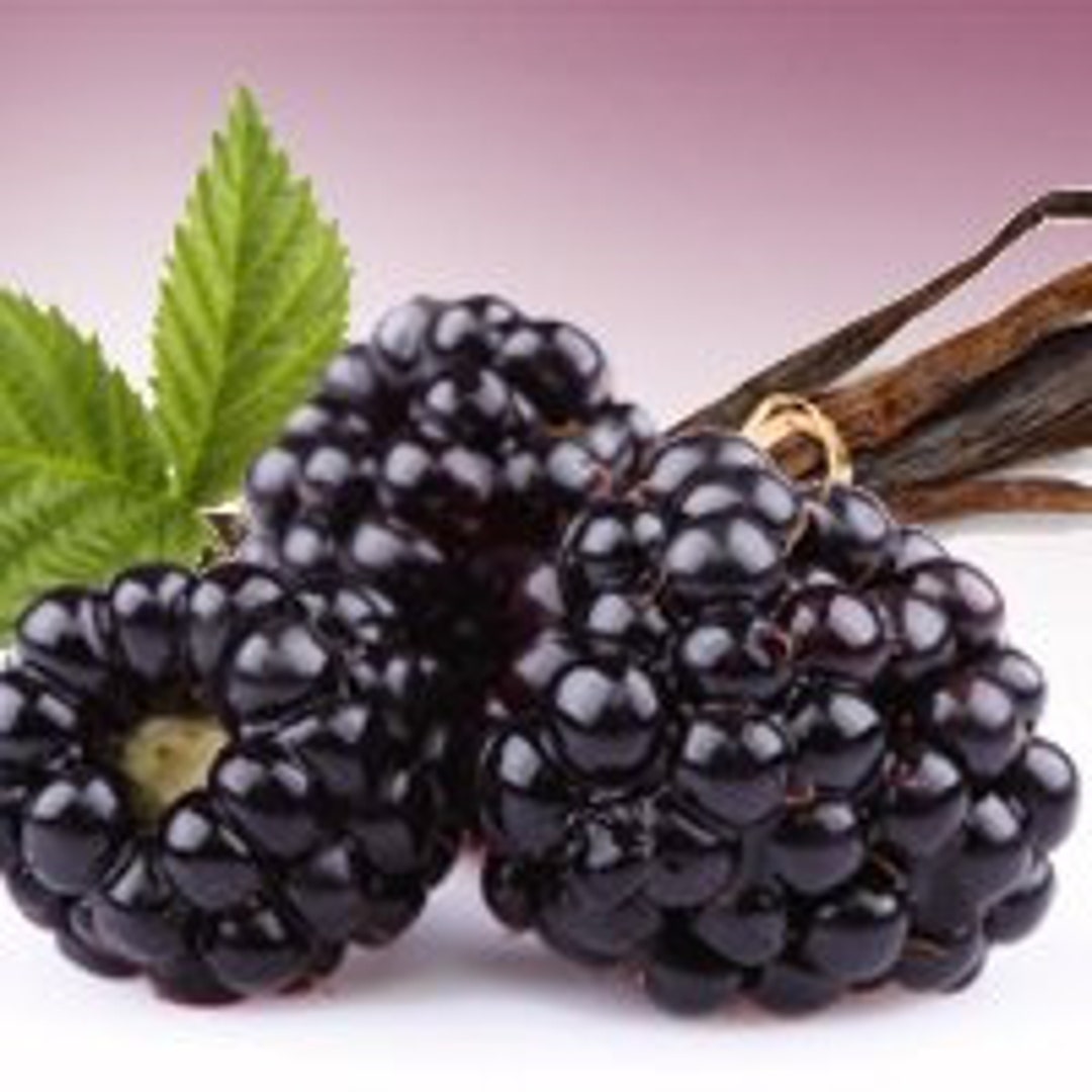 Black Raspberry Vanilla Perfume Mist Soap Wash Shampoo - Etsy