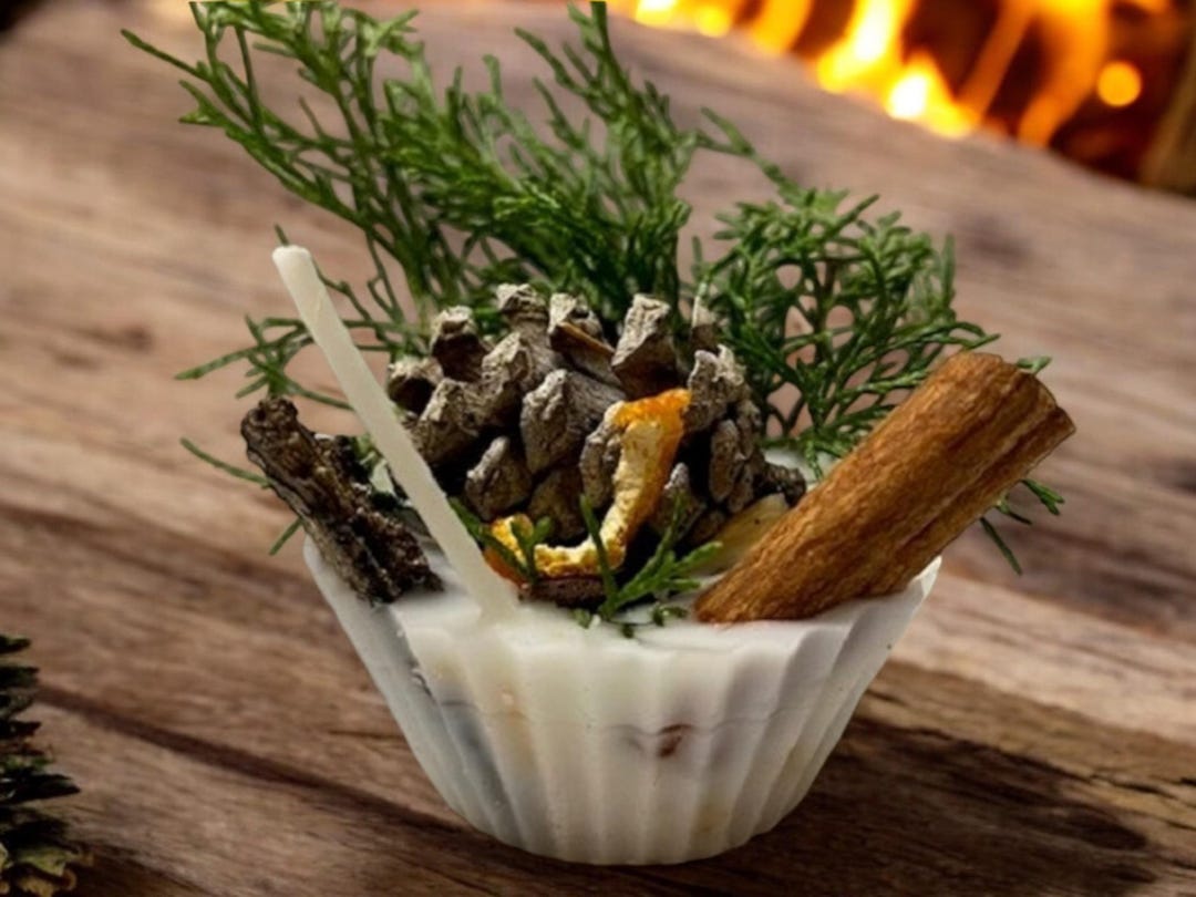 Pyro Pucks. 5 Fire Starters. - Etsy