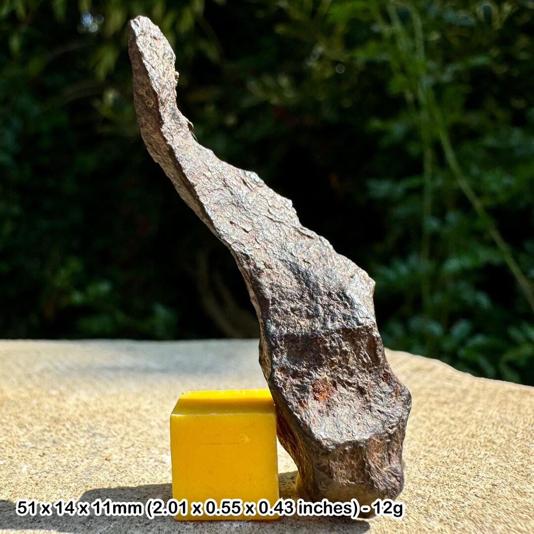Canyon Diablo Iron Meteorite Individual – Genuine Space Rock From ...
