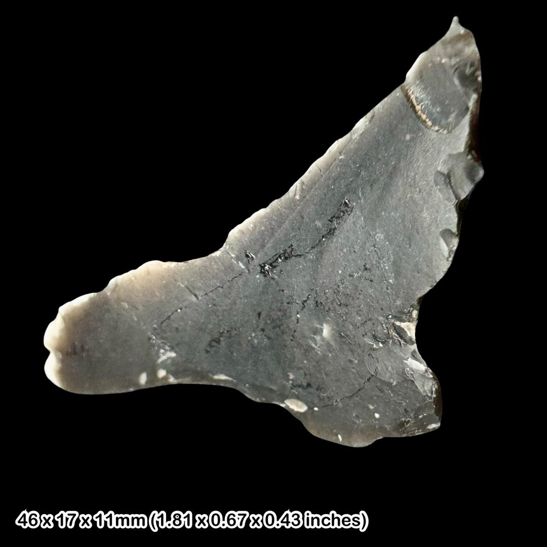Rare Neolithic Tool Flake Artefact British Stone Age Flint Lithic ...