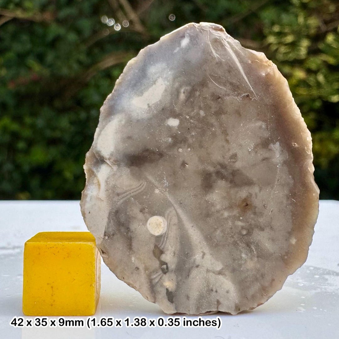 Rare Neolithic Flint Scraper – Stone Age Tool From Yorkshire, With COA ...