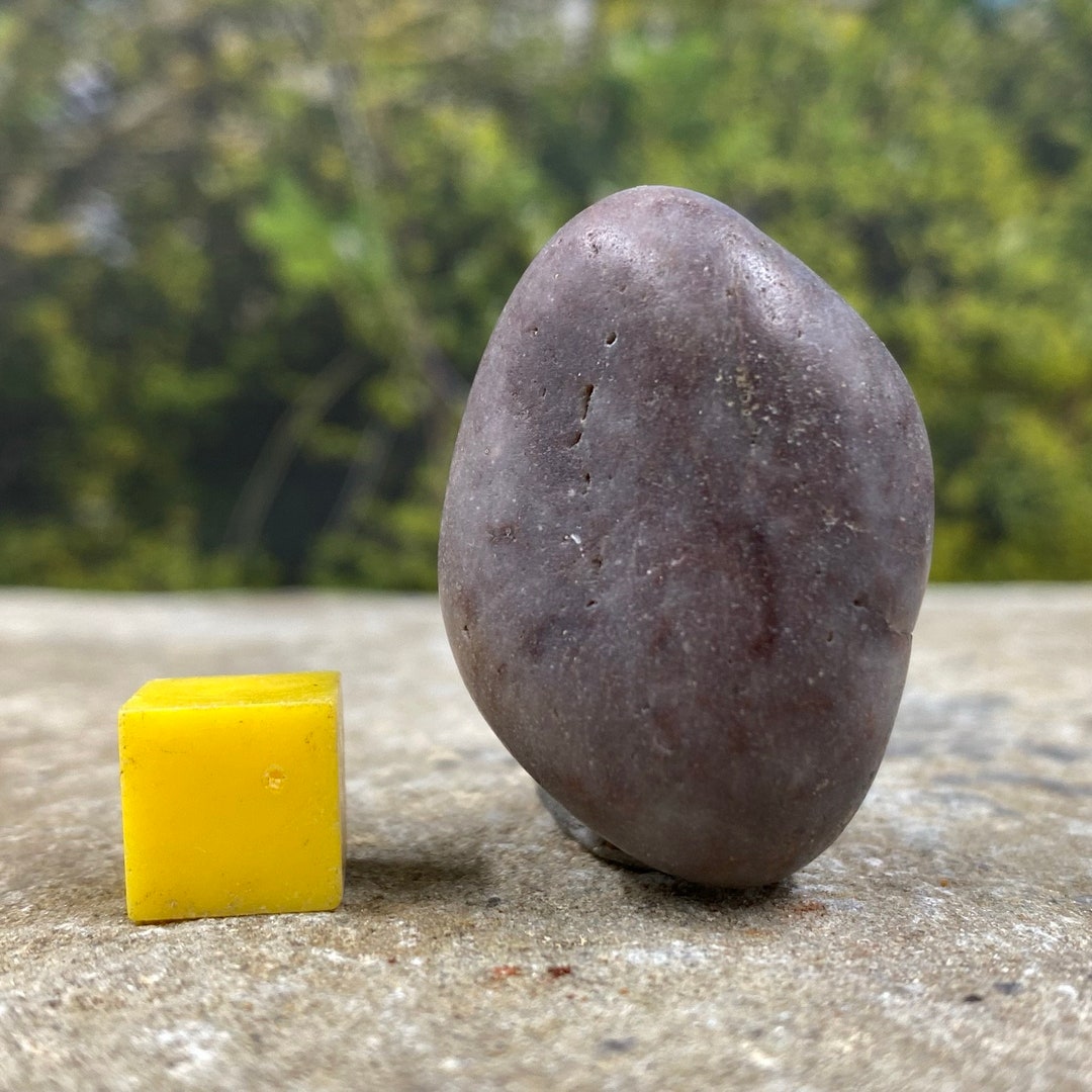 Dinosaur Stomach Stone Fossil Gastrolith Jurassic Usa Genuine Specimen ...