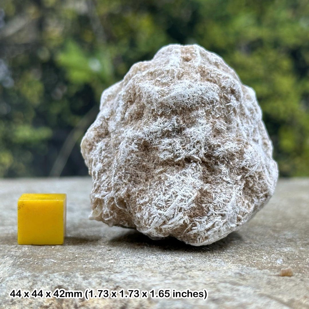 Gypsum Desert Rose Chalk Blackboard: Grounding Chakra Healing Crystal ...