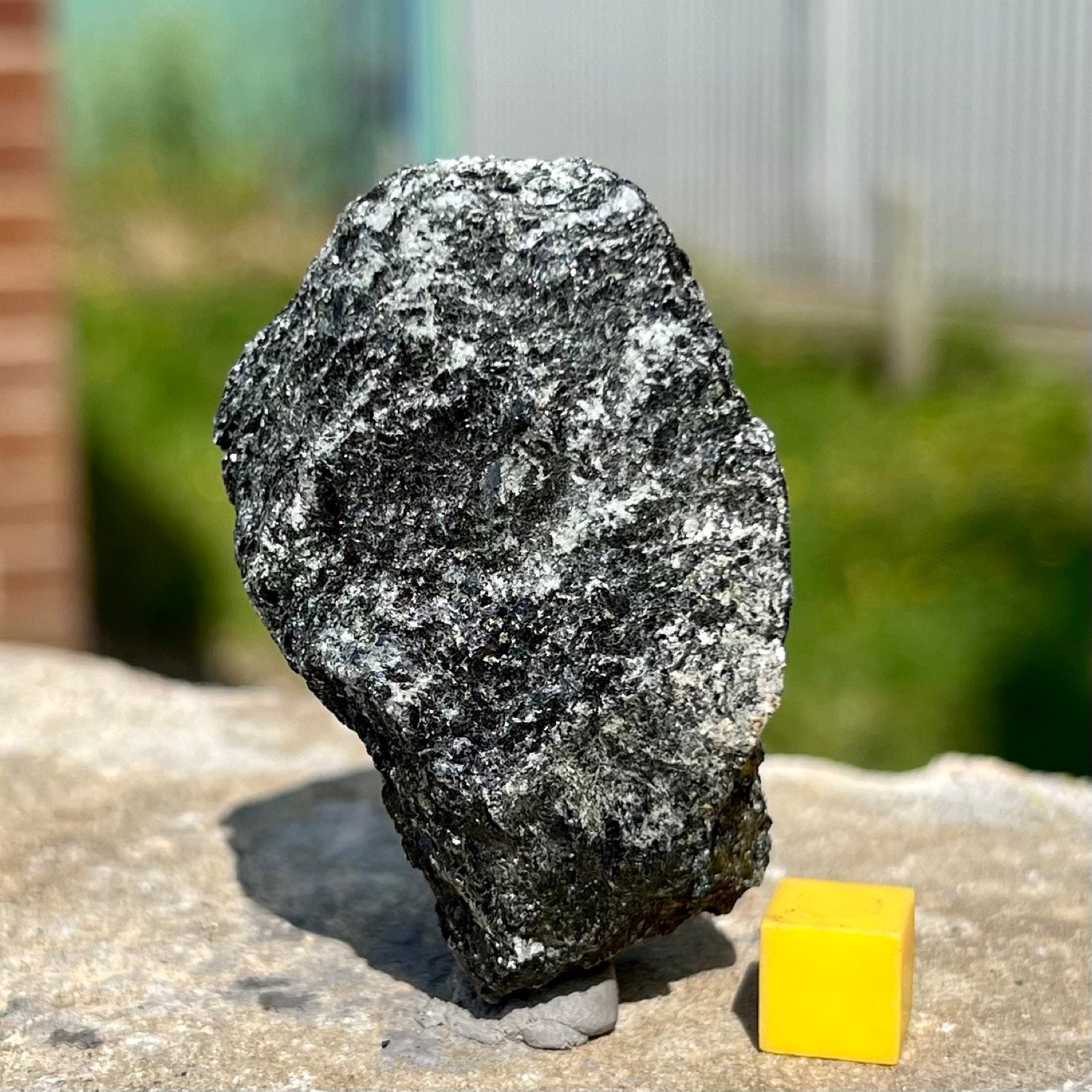 Metamorphic Rock Gneiss