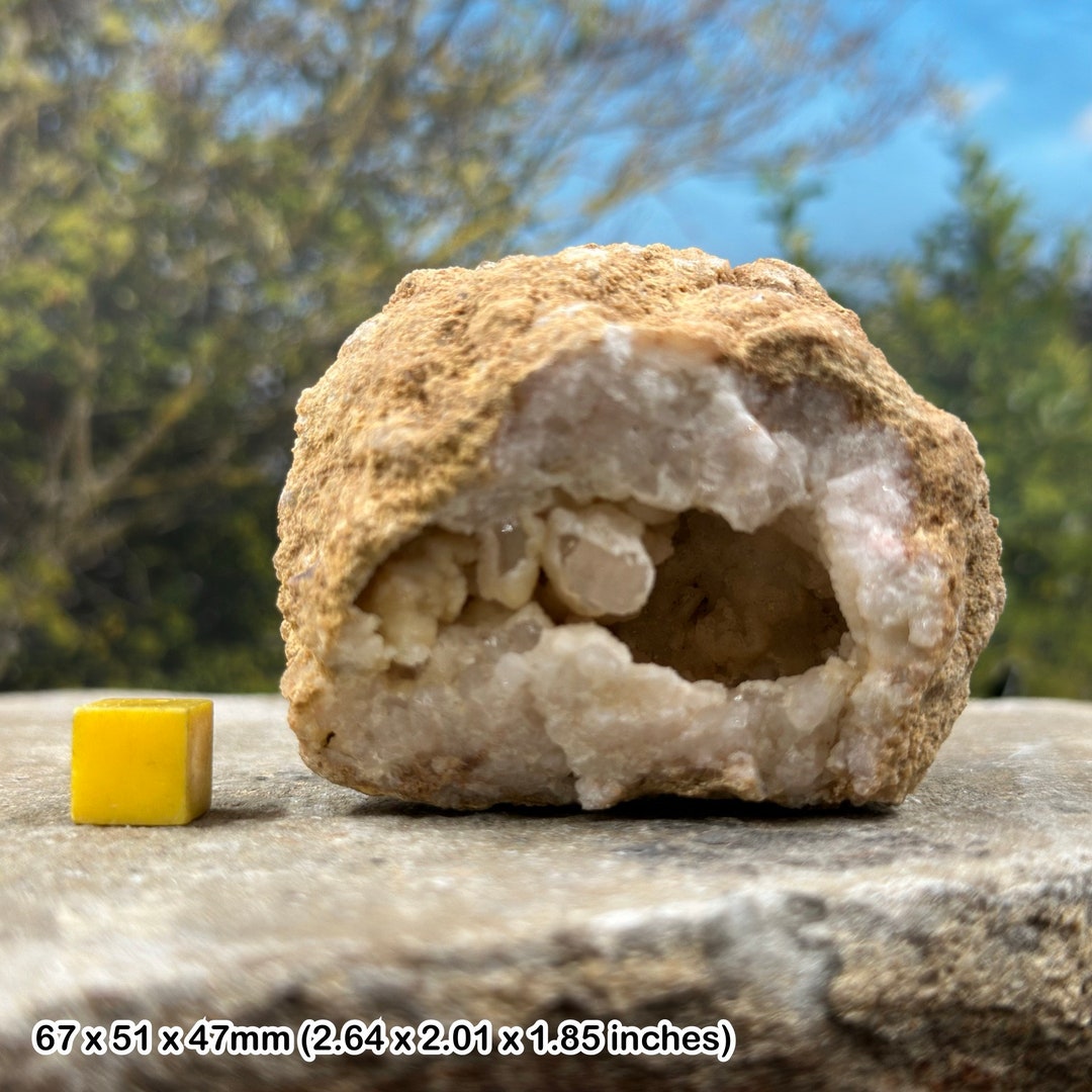 Unique Dulcote Agate Hollows Stunning Natural Beauty - Etsy