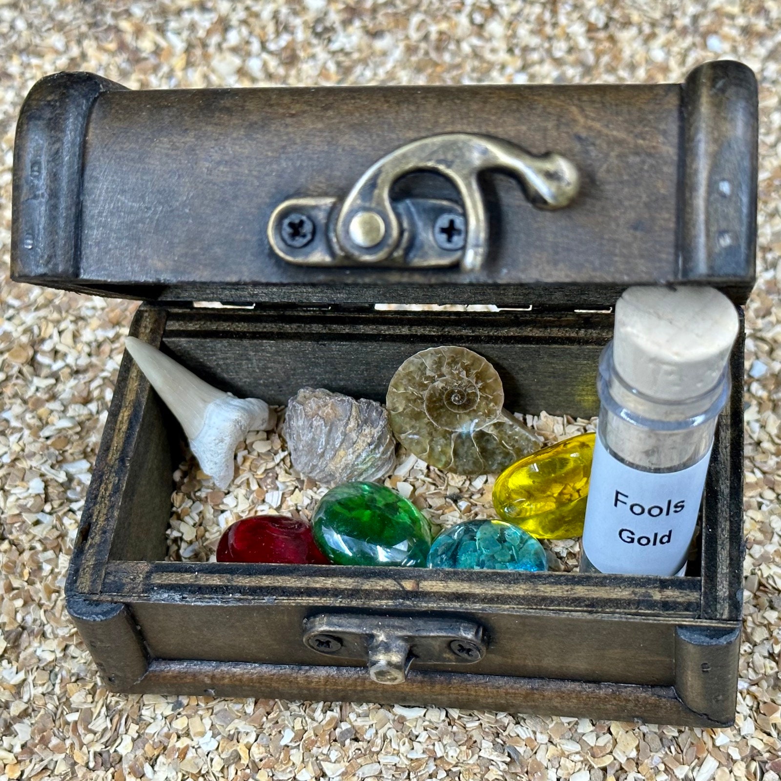 Treasure Chest Gift With Real Fossils Crystals and Gemstones - Etsy UK