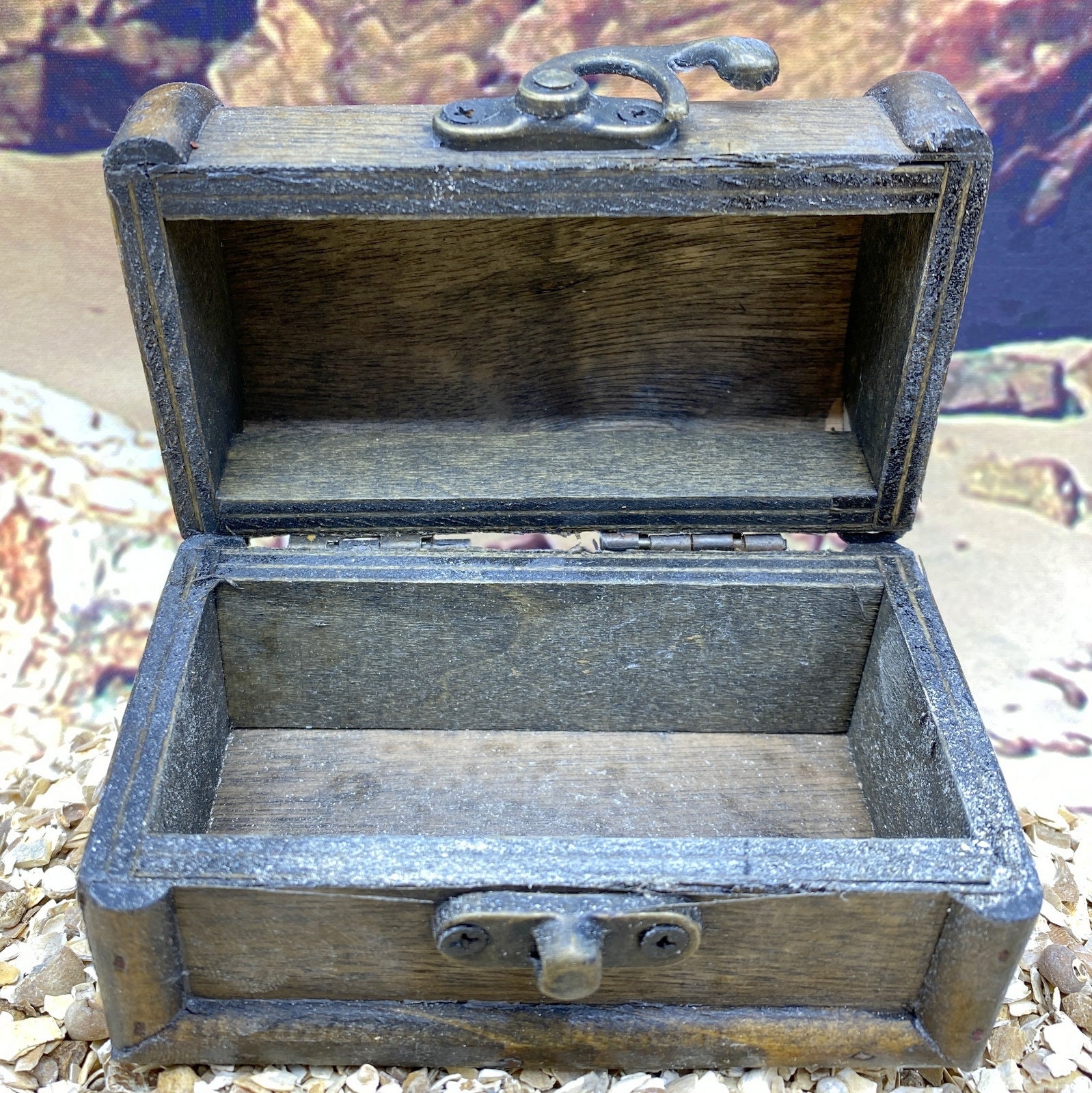 Treasure Chest Gift With Real Fossils Crystals and Gemstones | Etsy UK