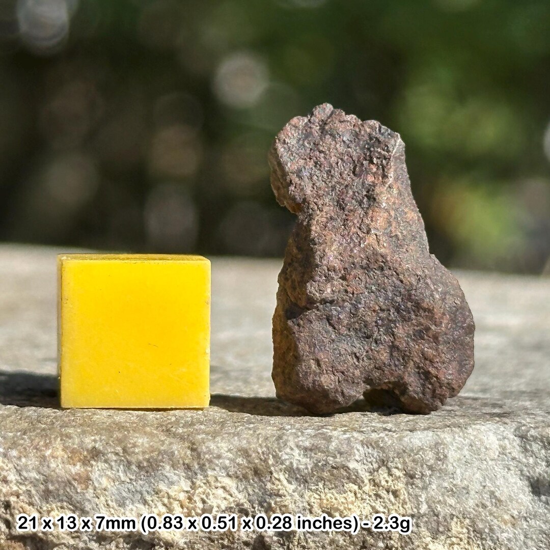 L4/5 Common Chondrite Meteorite - North West African Space Rock - Etsy