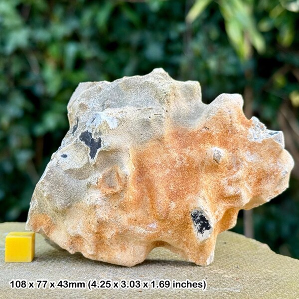 Sedimentary Rock - Etsy