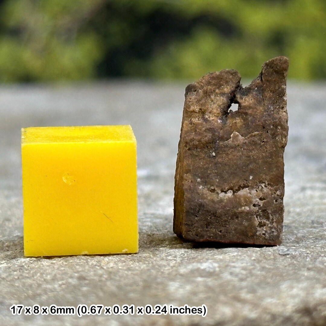 Dresser Formation Microbial Mat Fossil – Precambrian Algae Stromatolite ...