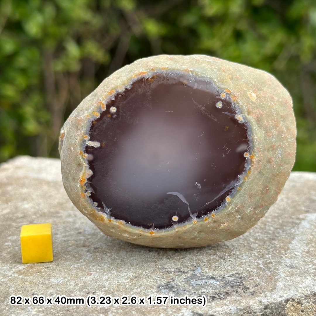 Enhydro Agate Geode With Water - Certified - Etsy