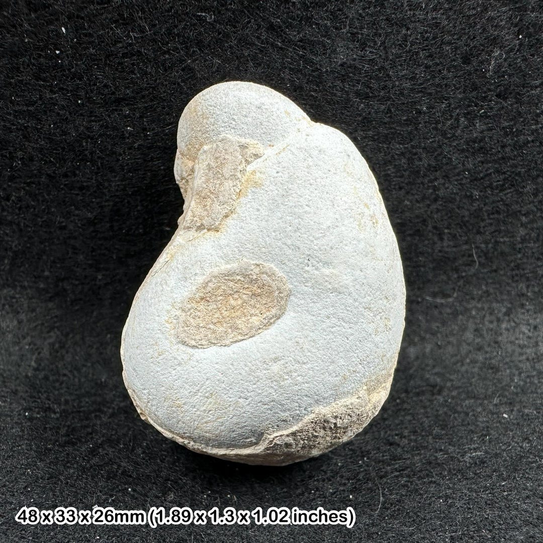 Menolite Crystal - Rare Genuine Mineral Specimen With Certificate of ...