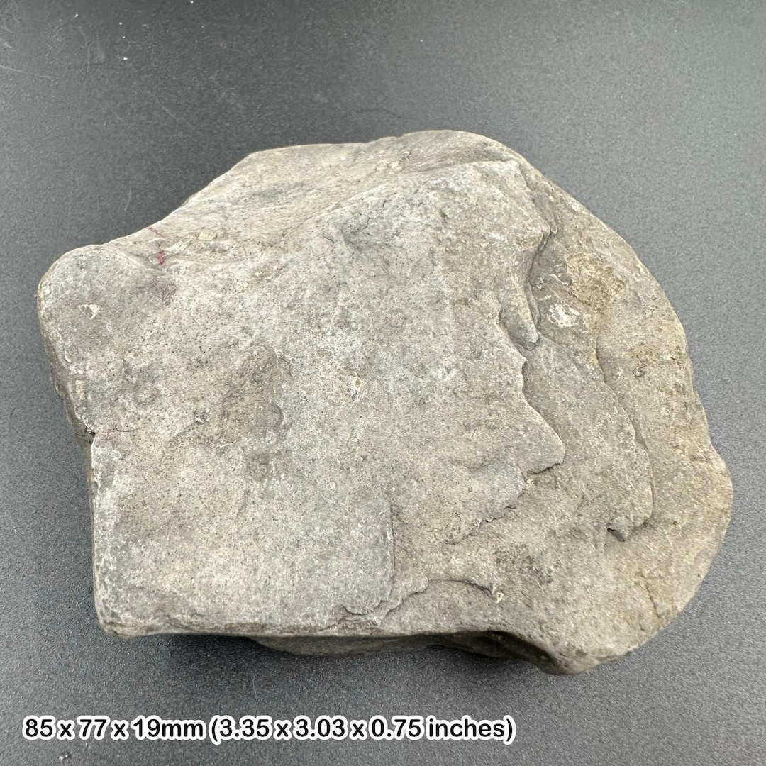 Uk Oil Shale, Fracking Rock Sample - Etsy