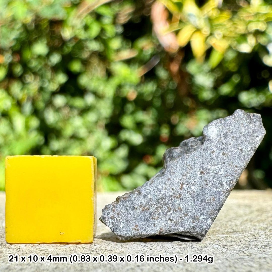 Nwa 2949 Eucrite Meteorite – Rare Achondrite From Asteroid Vesta ...