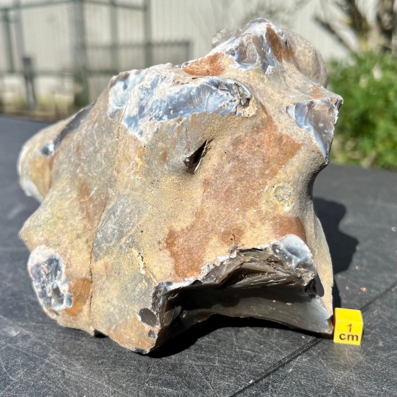 Flint A-grade Specimen Sedimentary Rock Educational Crystal - Etsy