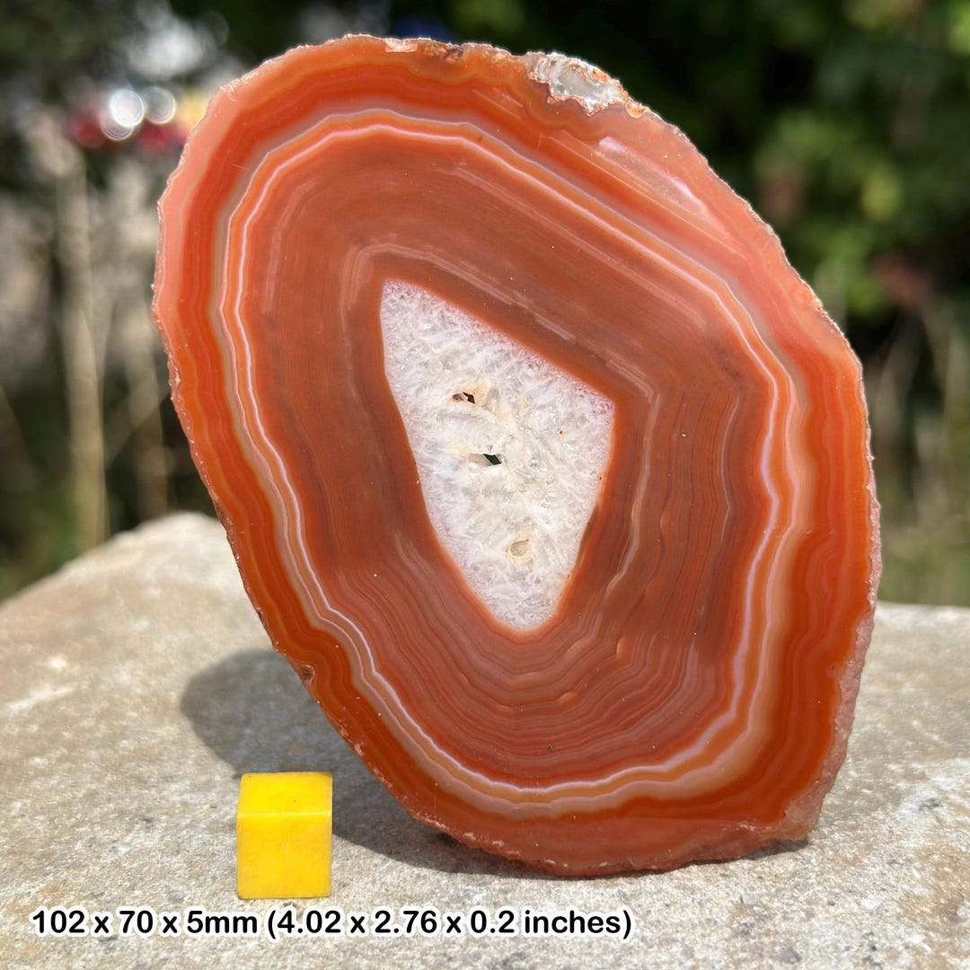 Red Agate Slice for Grounding and Protection - Etsy