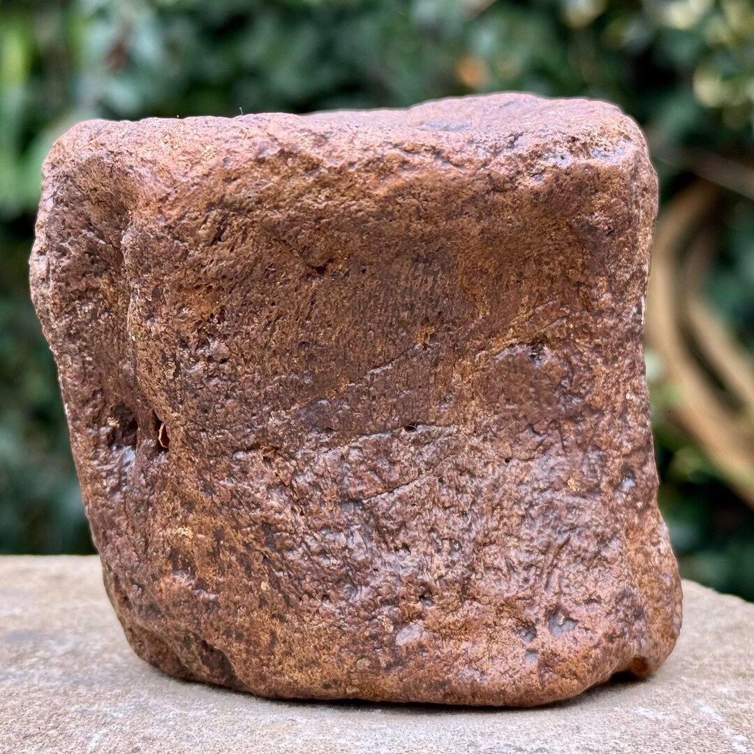 Rare: Plesiosaur Fossil Vertebra, Kimmeridge Clay, Jurassic, Blackhead ...