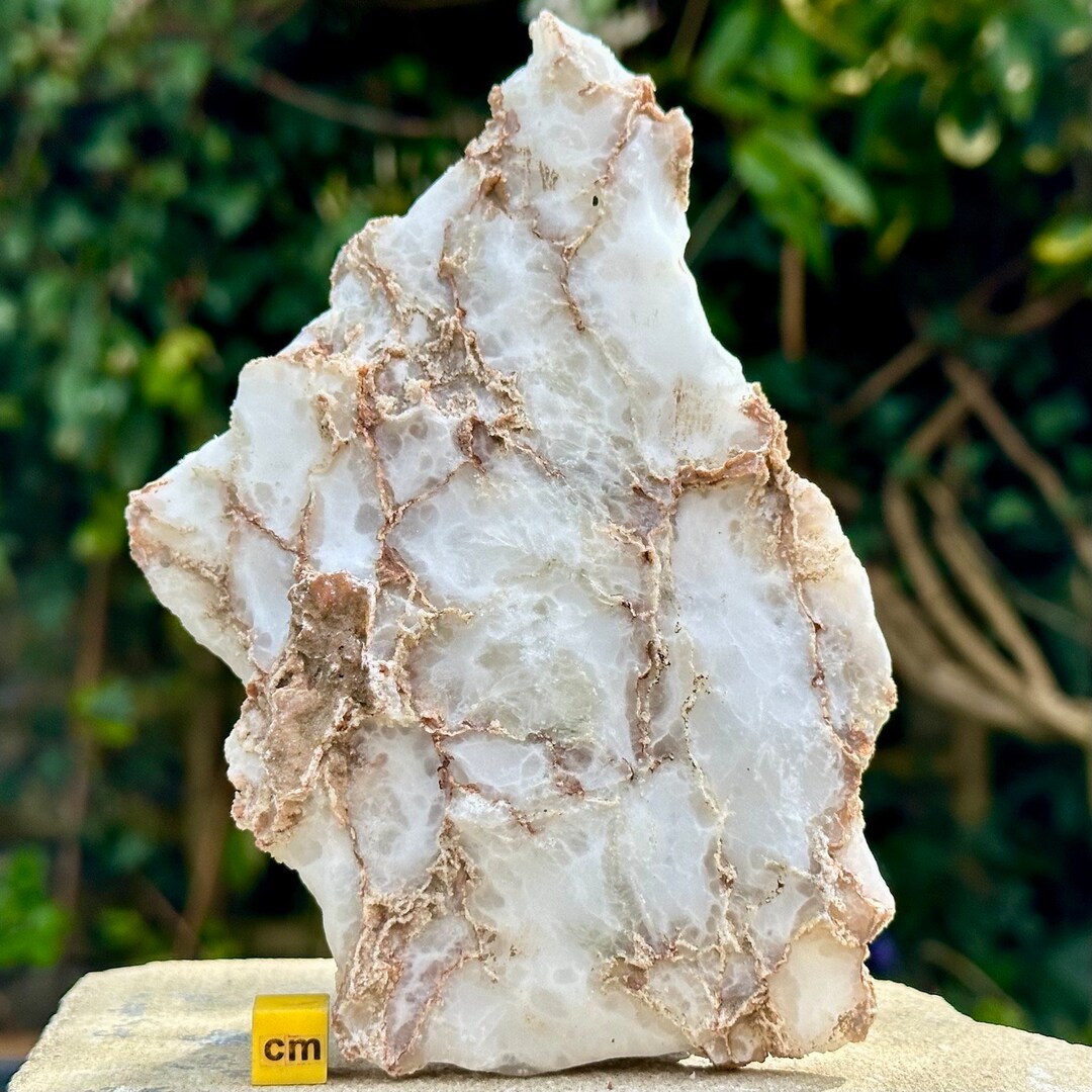 Snow Gypsum Aust Bristol Triassic Age CM9919 CERTIFICATED - Etsy