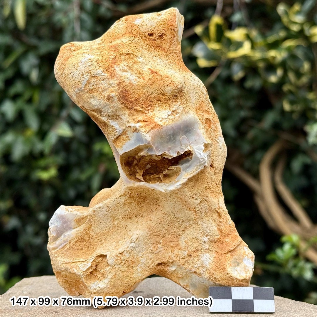 Spiky Flint Crystal – Cretaceous Grey Chalk, Branscombe Dorset Uk ...