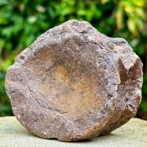 Large Ichthyosaur Vertebrae Fossil Jurassic Kimmeridge Clay, Wyke Regis ...