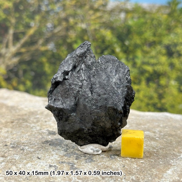 Graphite Drawing - Etsy